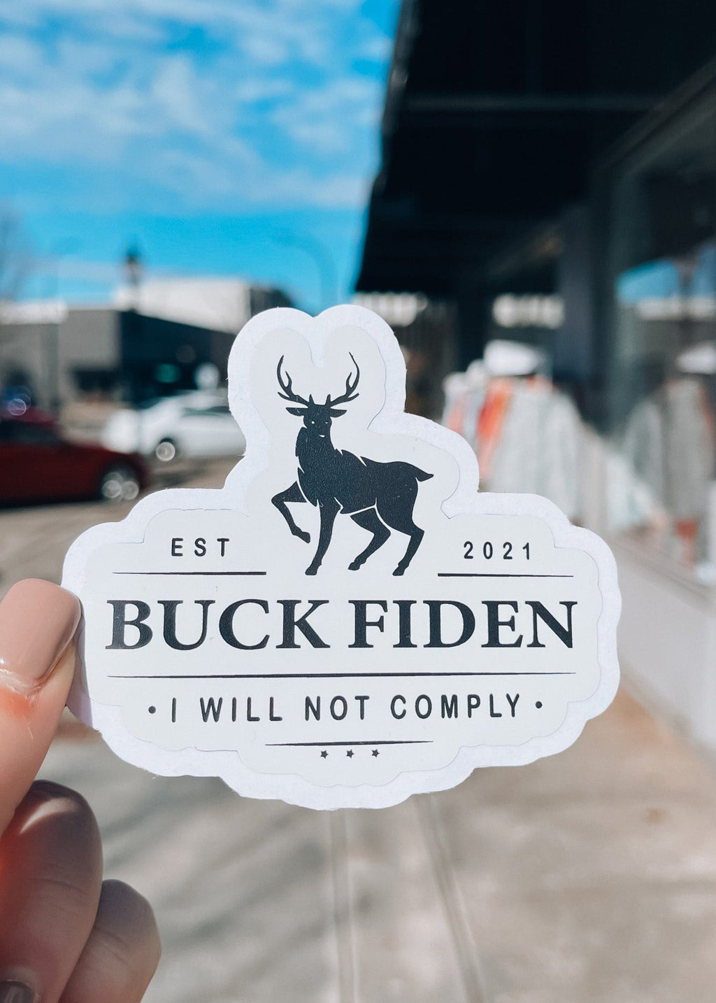 Buck Fiden Sticker Decal – The Sassy Owl Boutique